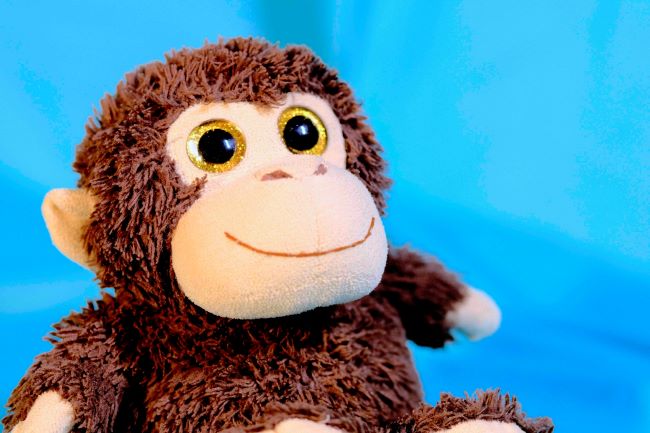 "Il ritorno dell'onda", il nuovo ep di Pacomonkey. L'intervista